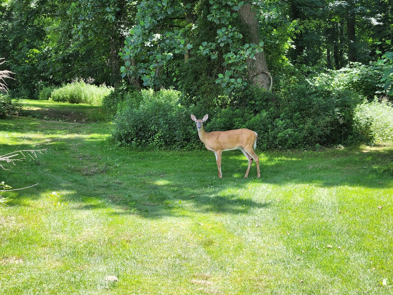 Fairchild Wheeler Golf Course- Fairfield, Connecticut - Golf Learning Lab