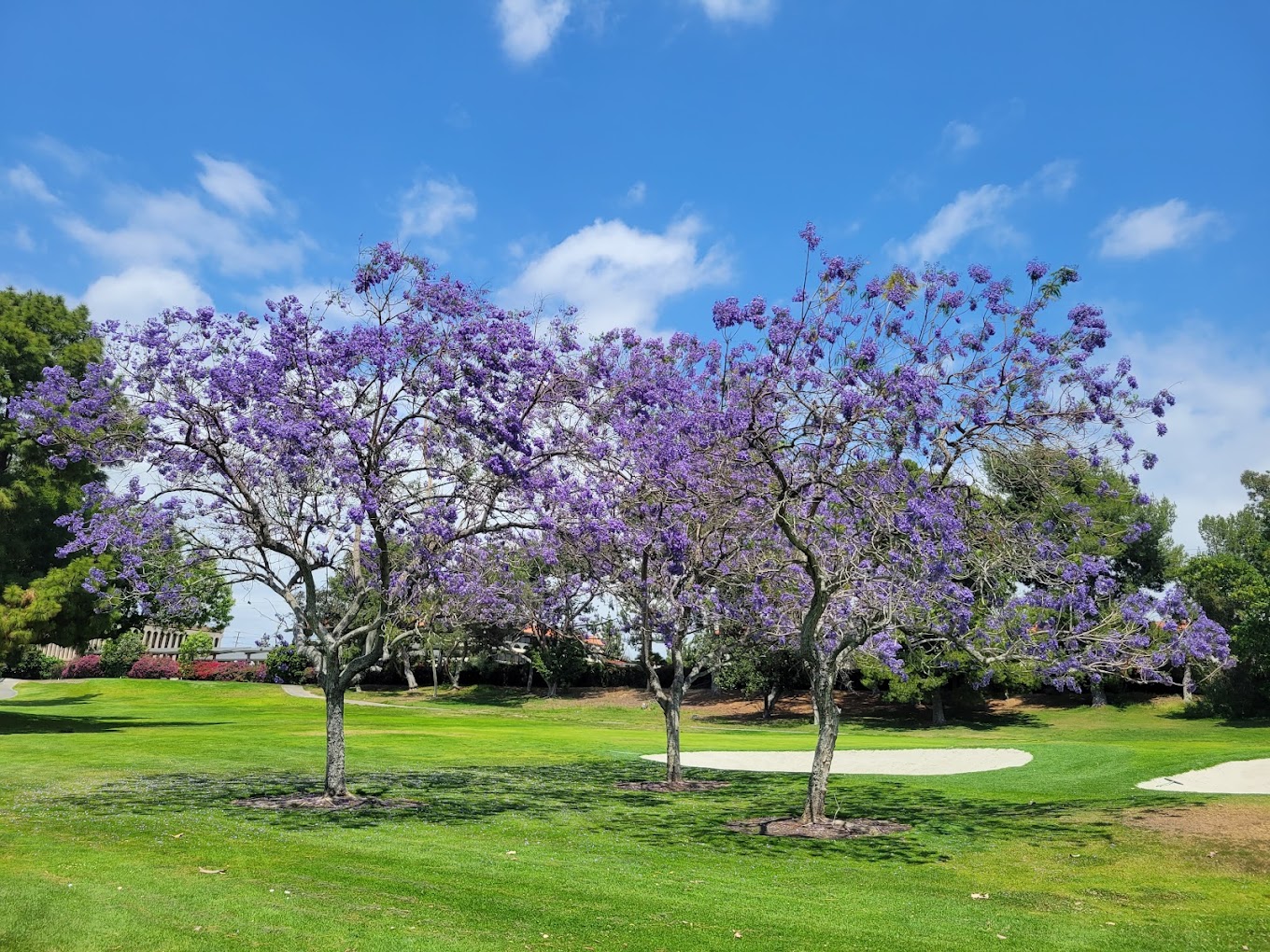 Dad Miller Golf Course- Anaheim, California - Golf Learning Lab